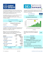SAMPLE DEi Scorecard | Sanford Regional Economic Growth Council